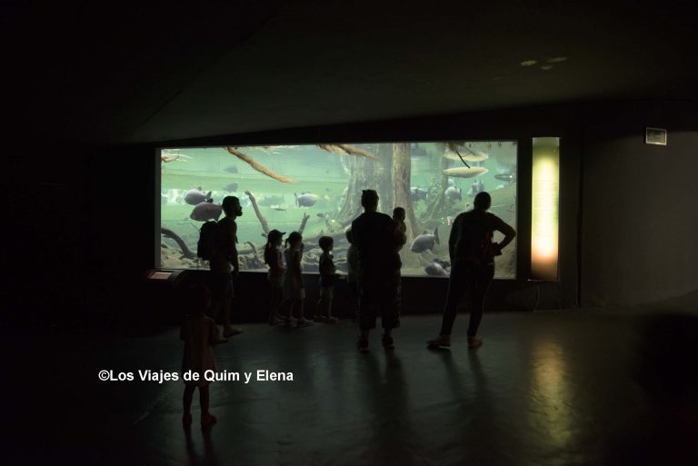 Cosmocaixa de Barcelona